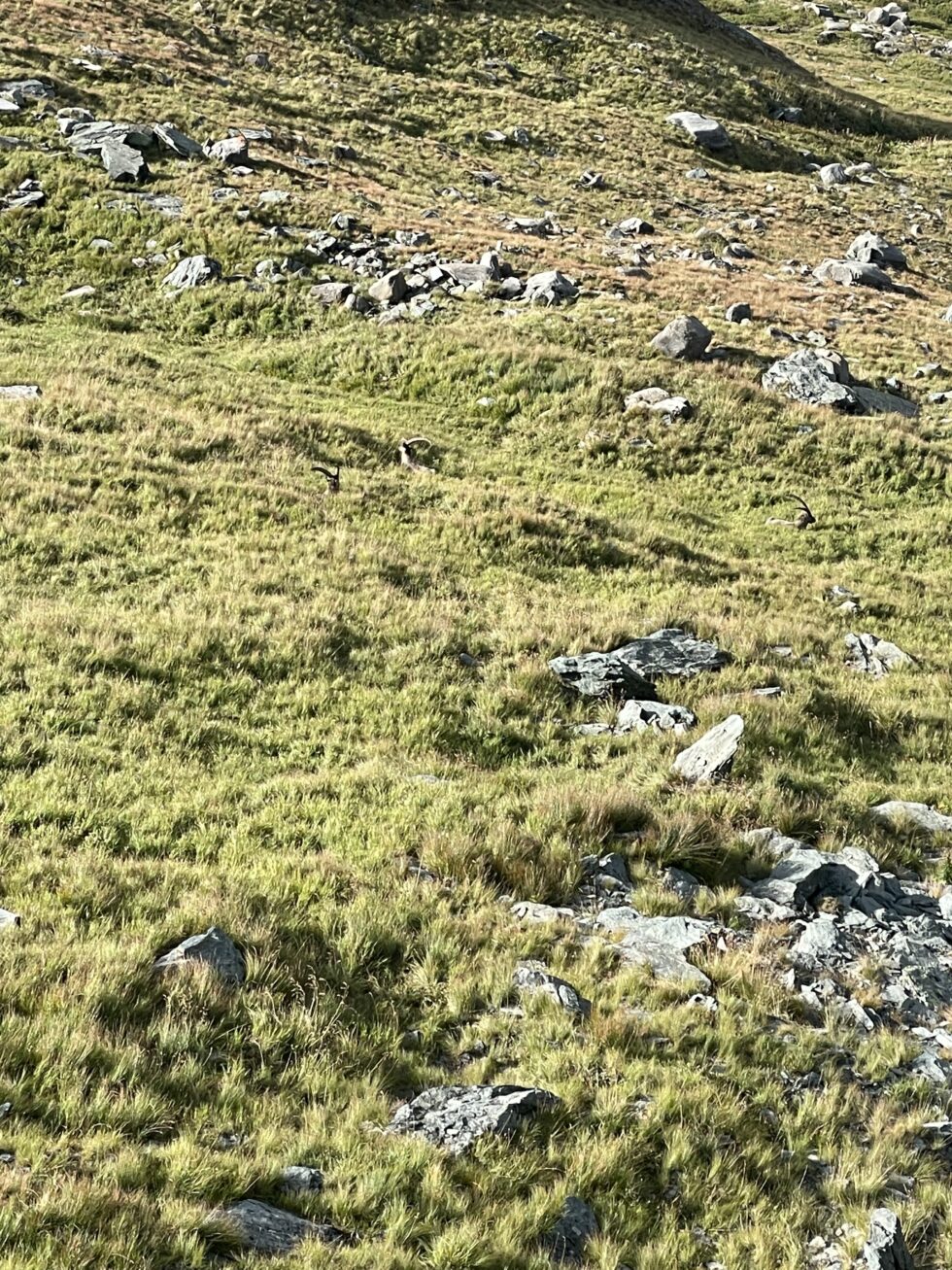 Mit dem Camper Van über die Großglockner Hochalpenstraße